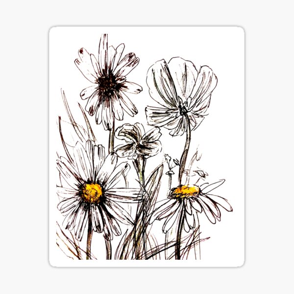 "Delicate Ink Daisy Drawing" Sticker for Sale by MixedManatee | Redbubble