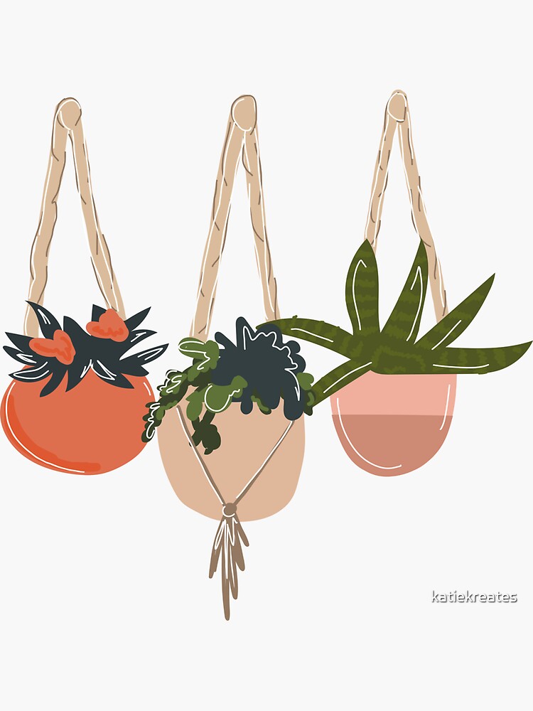"Hanging Plants " Sticker for Sale by katiekreates | Redbubble