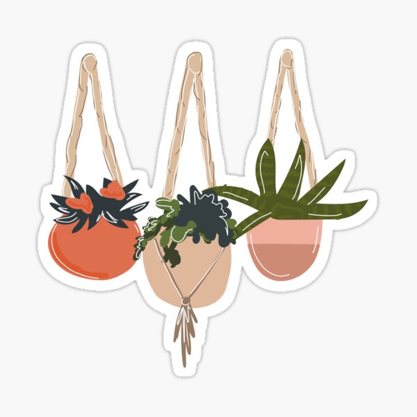 "Hanging Plants " Sticker for Sale by katiekreates | Redbubble