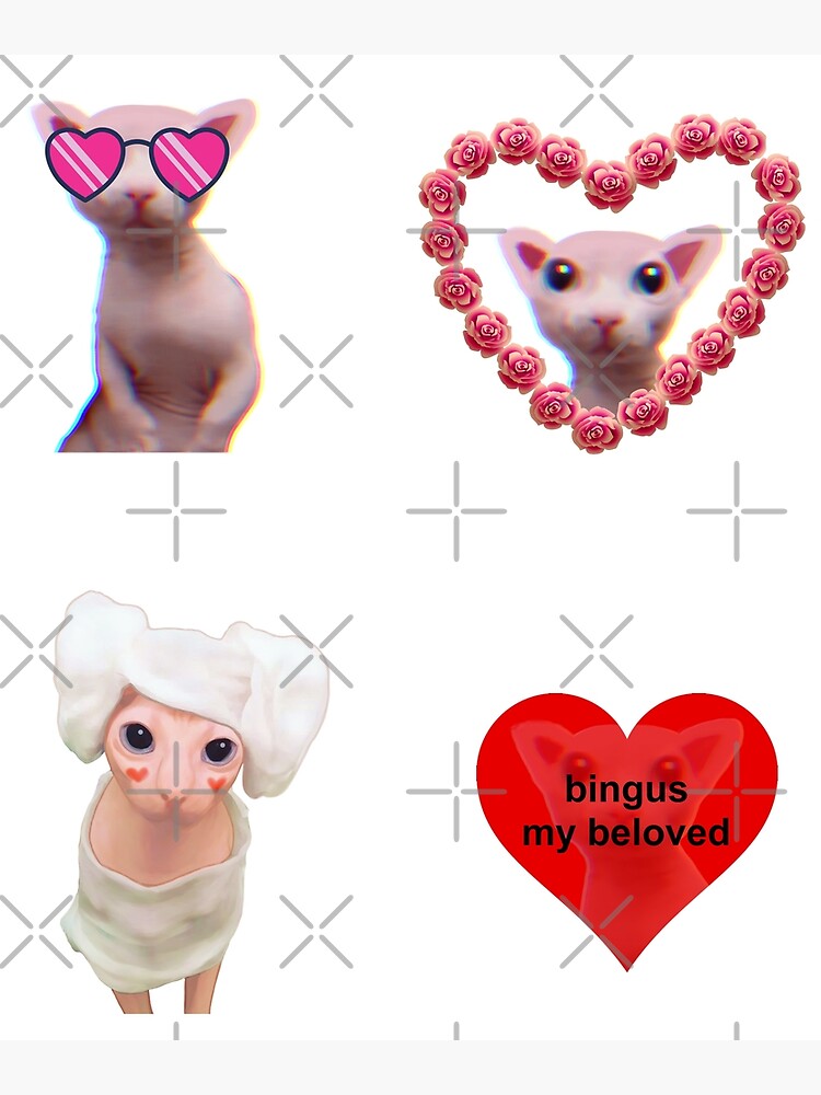 "Bingus Sphynx Cat Pack" Poster by cannevas | Redbubble