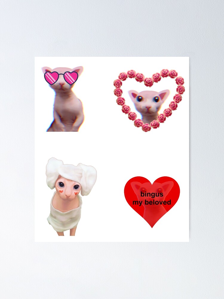 "Bingus Sphynx Cat Pack" Poster by cannevas | Redbubble
