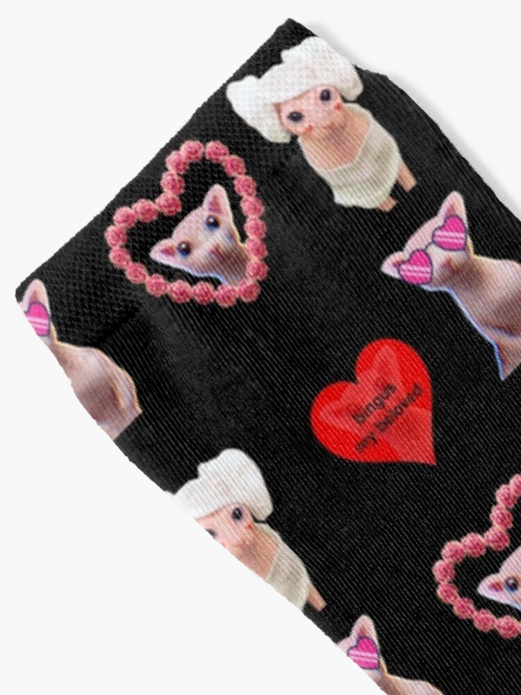 "Bingus Sphynx Cat Pack" Socks by cannevas | Redbubble