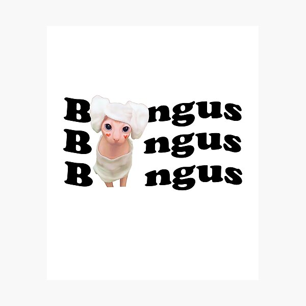 "Bingus - Cat Meme Lamb Towel Hat" Photographic Print by cannevas ...