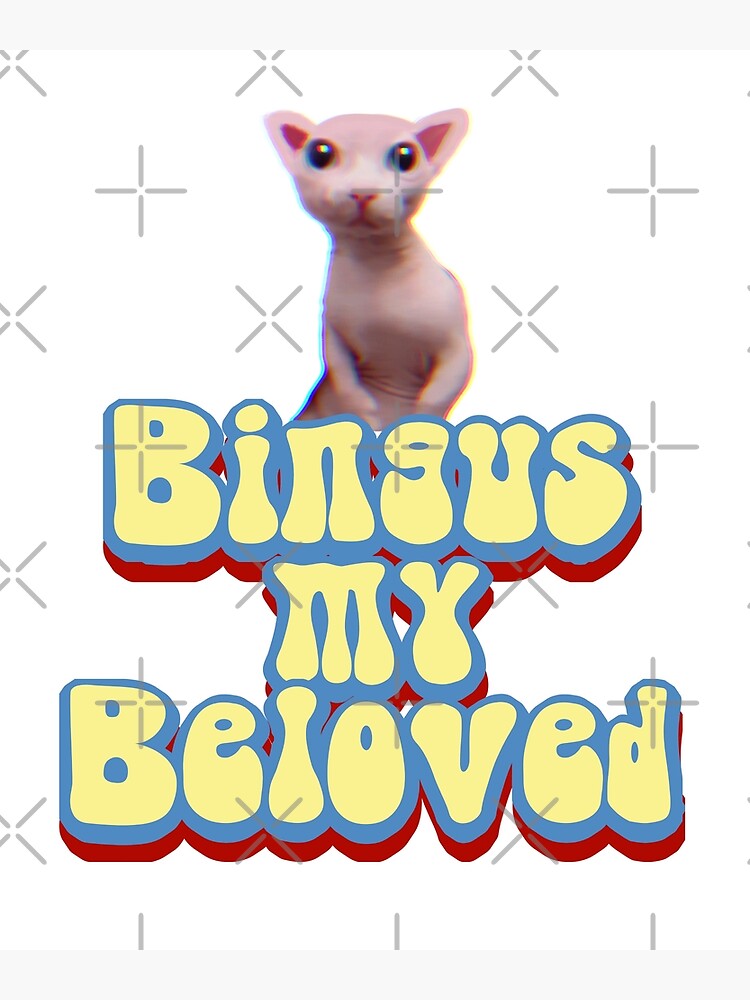 Lámina fotográfica «Bingus Cat Meme Retro» de cannevas | Redbubble