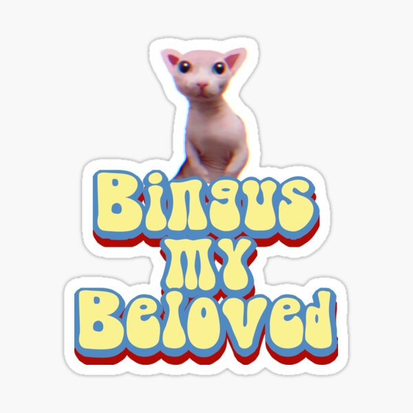 "Bingus Cat Meme Retro" Sticker for Sale by cannevas | Redbubble