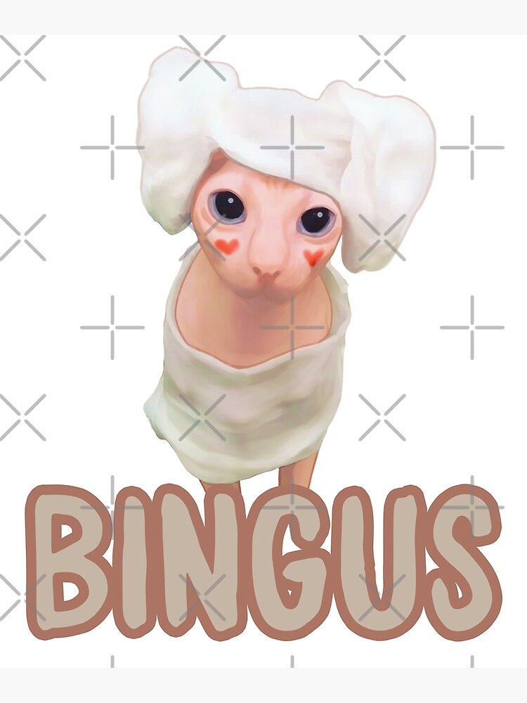 "Bingus Sphynx Cat Towel Hat" Poster by cannevas | Redbubble