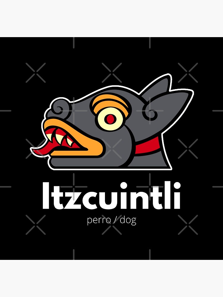 Lámina rígida con la obra «Itzcuintli, perro en náhuatl» de Caracol ...