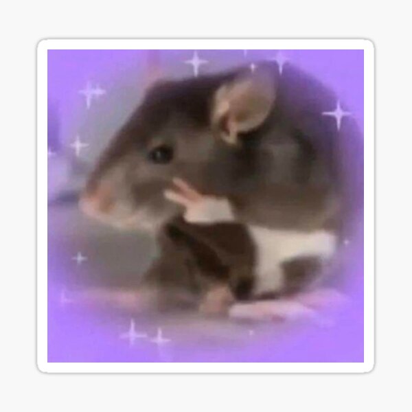 "Peace rat " Sticker for Sale by Katie5678 | Redbubble