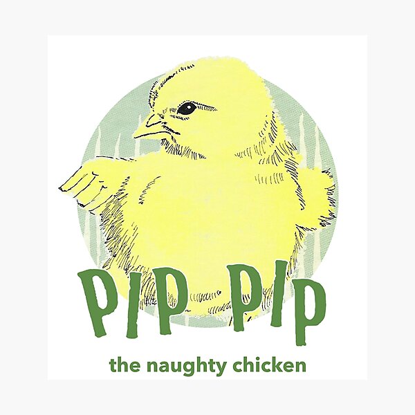 "Pip Pip - the naughty chicken" Photographic Print by jmstudley | Redbubble