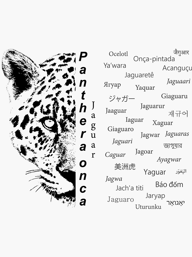 "Jaguar names" Sticker for Sale by PantheraOnca | Redbubble