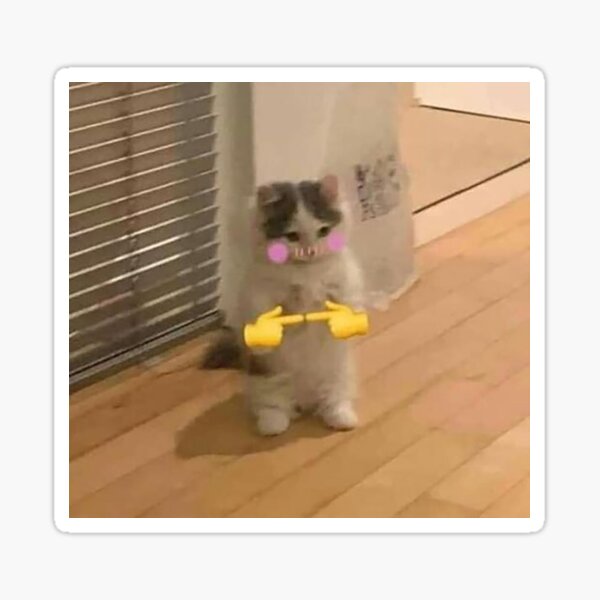 "Shy Kitty Sticker and Poster" Sticker for Sale by JadeInc | Redbubble