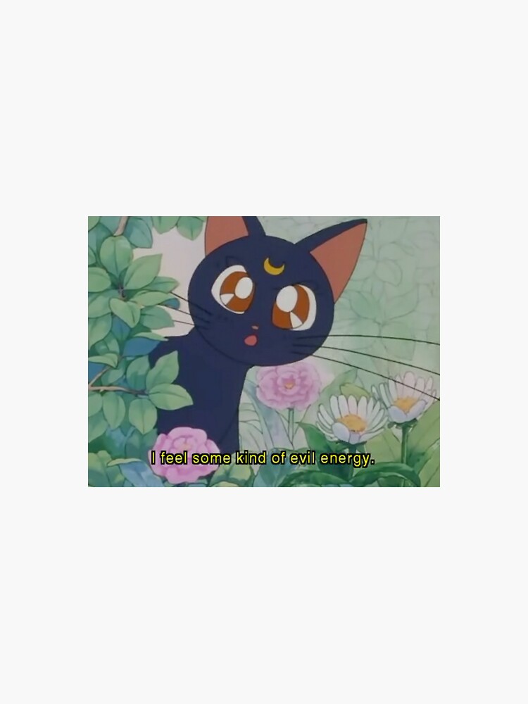 "Sailor Moon Cat " Sticker for Sale by Outboardfungus1 | Redbubble