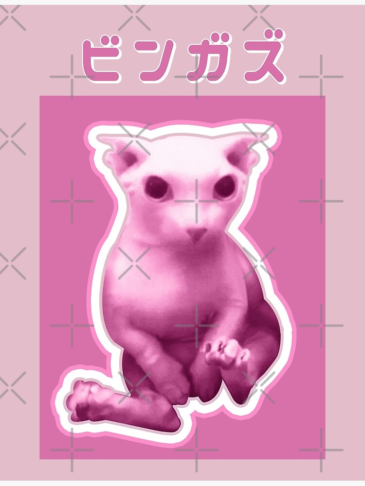 Bingus Cat Kawaii on Pink Premium Matte Vertical Poster sold by Brandy ...
