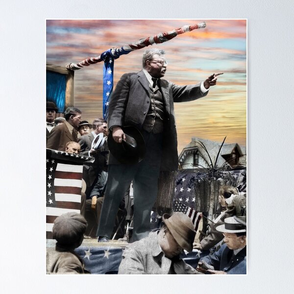 "President Theodore Roosevelt (1912)" Poster for Sale by billduncan ...