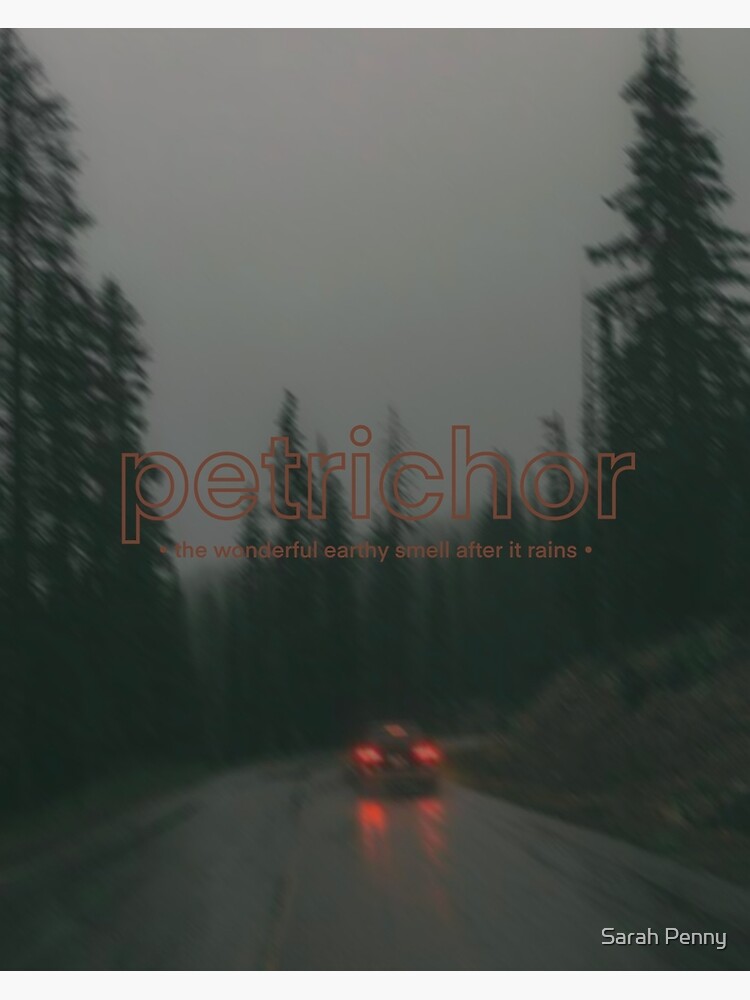"Aesthetic Petrichor Definition" Poster for Sale by Sbp0401 | Redbubble
