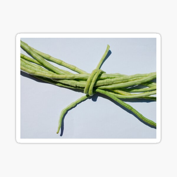 "Bundle of Yardlong Beans" Sticker for Sale by jojobob | Redbubble