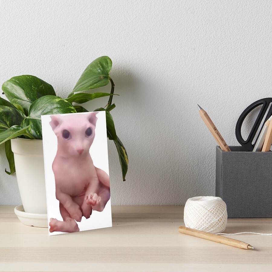 "bingus" Art Board Print for Sale by Comba | Redbubble