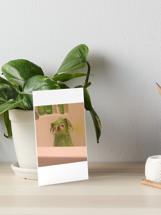 "THIS is the gunch" Art Board Print for Sale by OricnsBelt | Redbubble