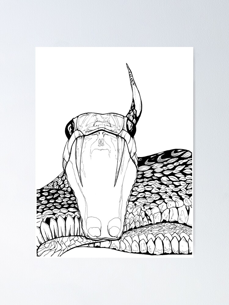 "Sedge Viper" Poster by lilybelle-art | Redbubble