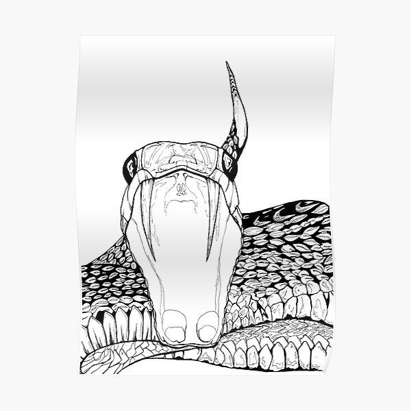 "Sedge Viper" Poster by lilybelle-art | Redbubble