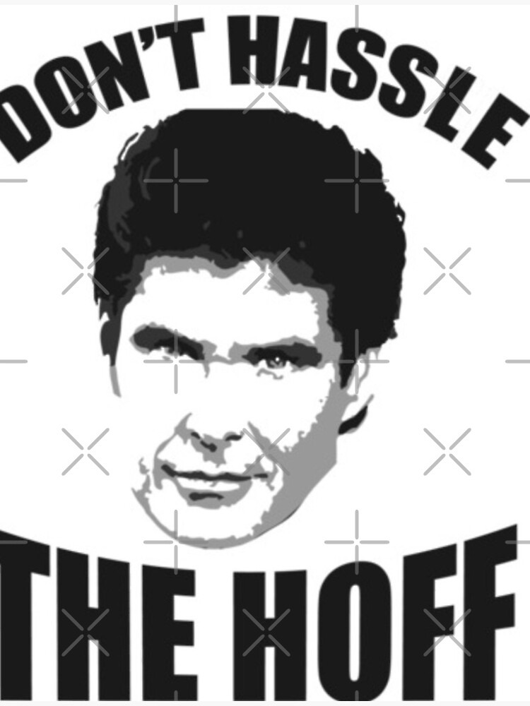 Funny Hoff Quotes What Does David Hasselhoff Have In Common With
