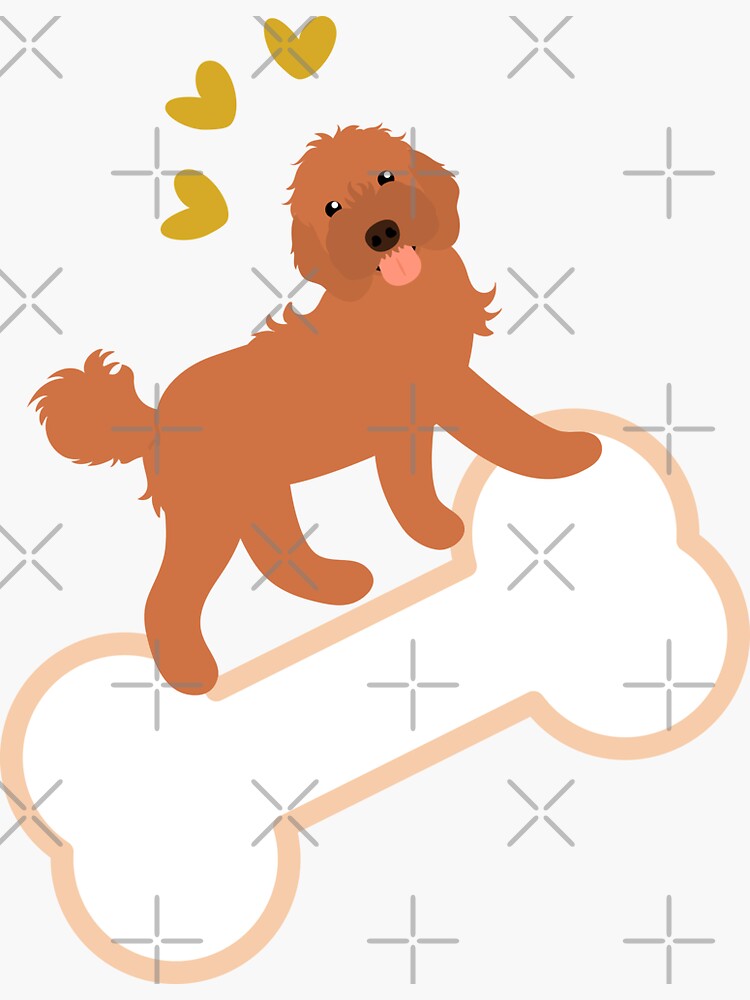 "Cute Ruby Red Cockapoo Cavapoo Cavoodle" Sticker for Sale by ...