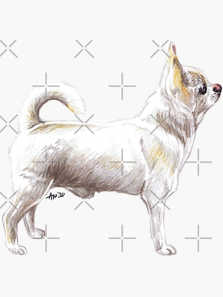 "Chihuahua Smooth Dog Breed Show Stack Stand" Sticker by AMPortraits ...
