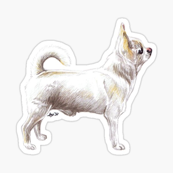 "Chihuahua Smooth Dog Breed Show Stack Stand" Sticker by AMPortraits ...