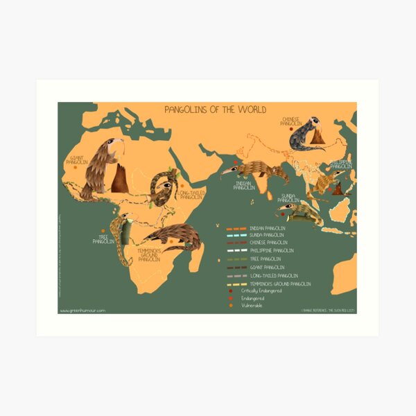 "The Pangolin Map of the World" Art Print for Sale by rohanchak | Redbubble