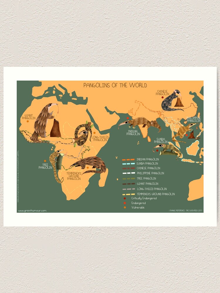 "The Pangolin Map of the World" Art Print for Sale by rohanchak | Redbubble