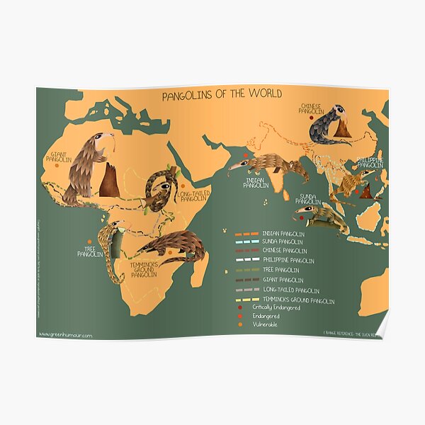 "The Pangolin Map of the World" Poster for Sale by rohanchak | Redbubble