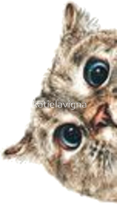 Cat: Stickers | Redbubble