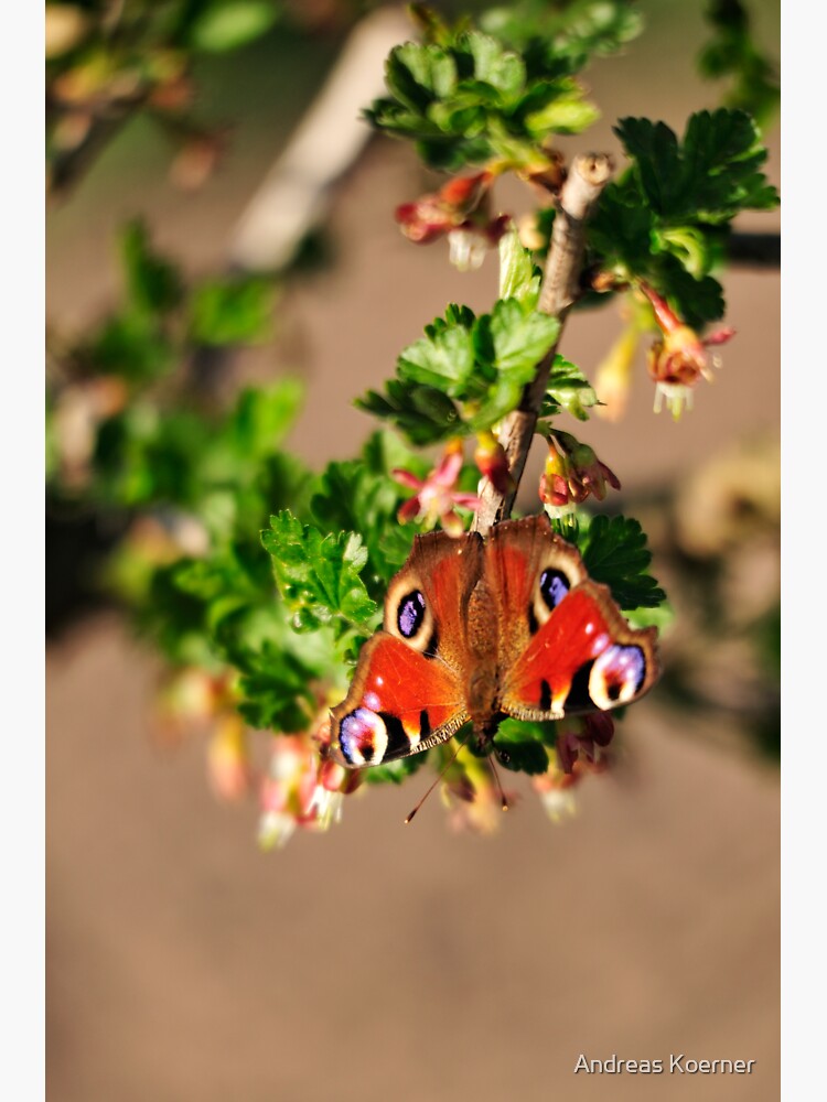 ""Warm-up"" Sticker by AndreasKoerner | Redbubble