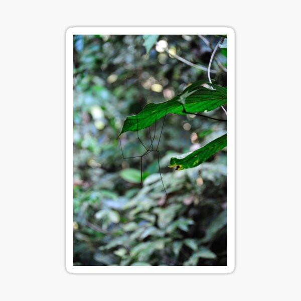 ""Walking Stick"" Sticker by AndreasKoerner | Redbubble