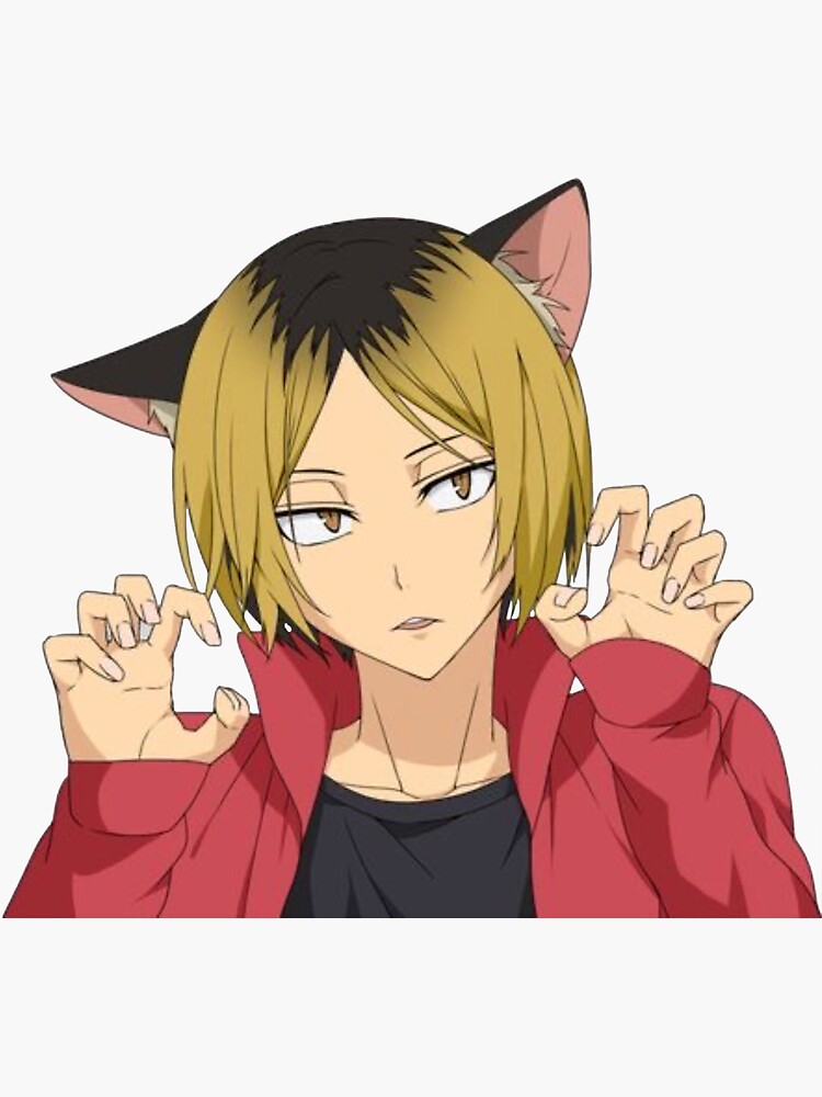 "kenma cat nekoma" Sticker for Sale by mm-piece | Redbubble