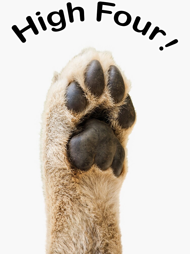 "High four!" Sticker for Sale by PantheraOnca | Redbubble