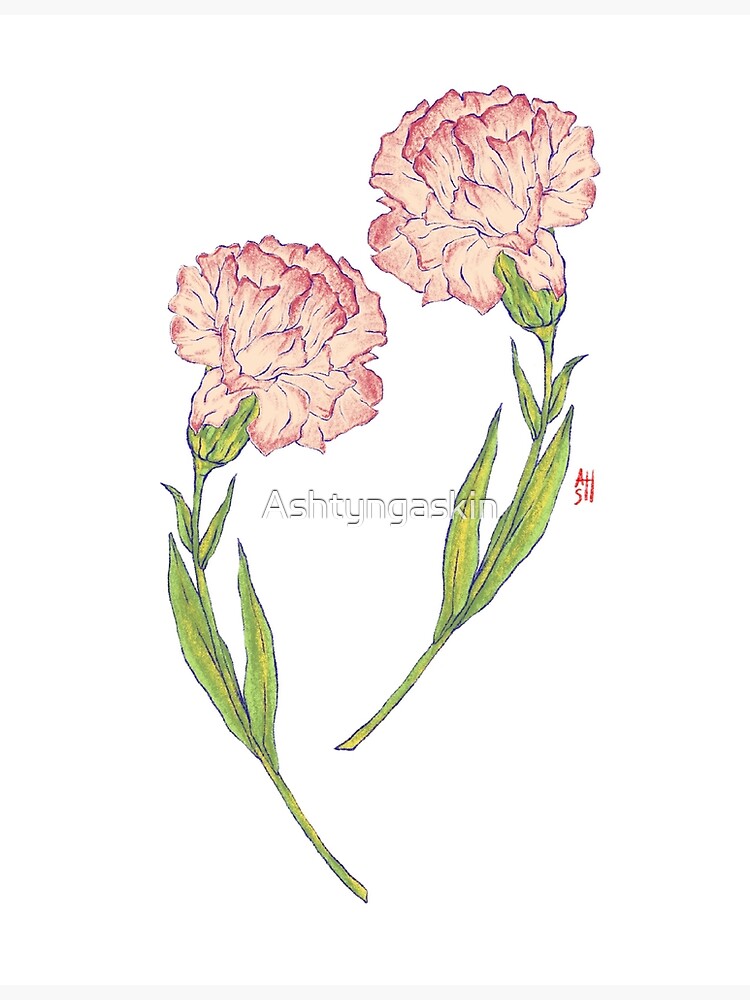 "Carnations " Poster for Sale by Ashtyngaskin | Redbubble