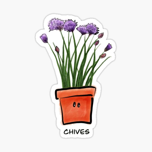 "Chives" Sticker for Sale by BellwetherFrnds | Redbubble