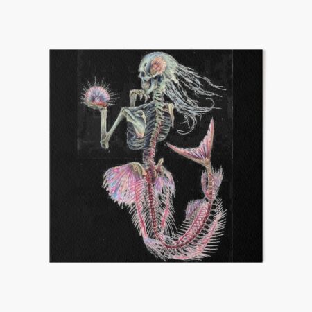 "skeleton mermaid artwork, Ariel Mermaid Human skeleton Skull, Mermaid ...