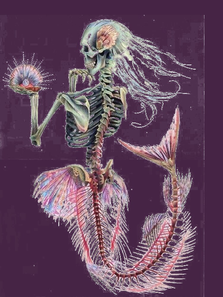 "skeleton mermaid artwork, Ariel Mermaid Human skeleton Skull, Mermaid ...