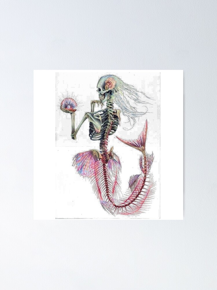 "skeleton mermaid artwork, Ariel Mermaid Human skeleton Skull, Mermaid ...