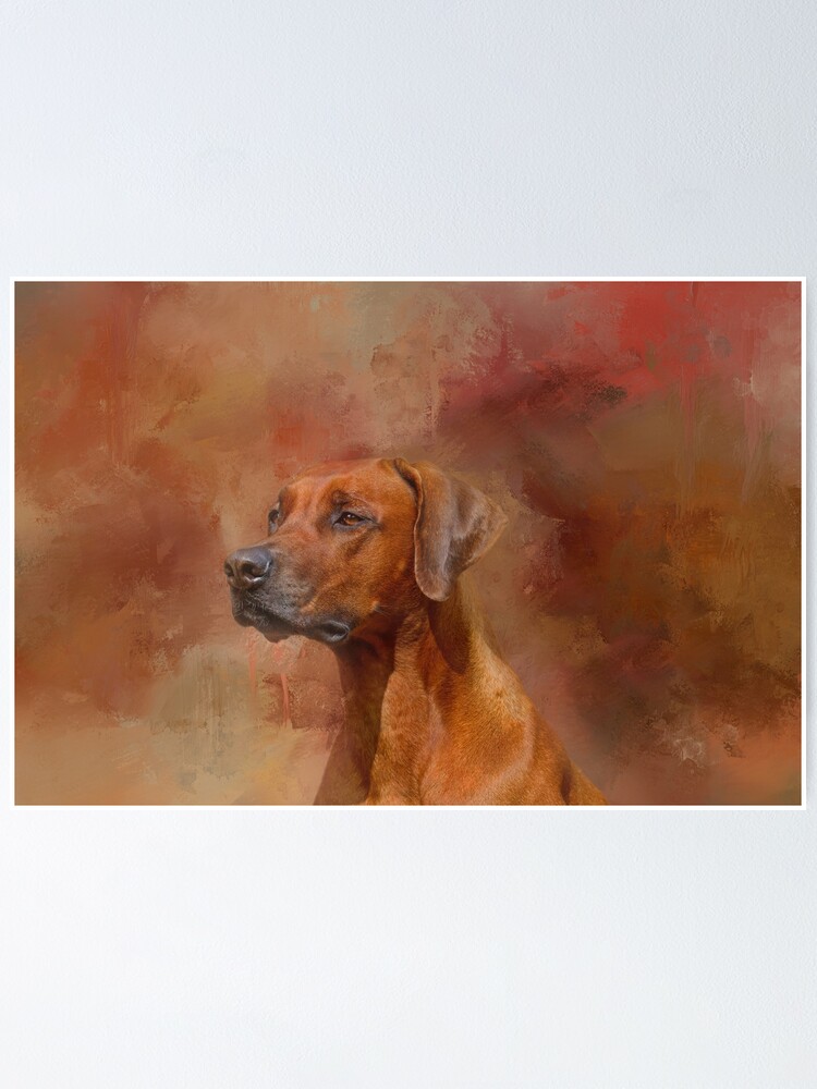 "Rhodesian Ridgeback" Poster by fineart2017 | Redbubble