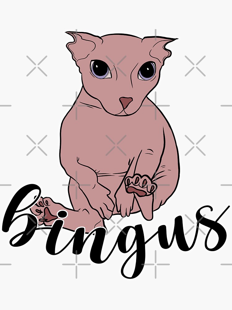 "Bingus (Cat Meme)" Sticker for Sale by forcas | Redbubble