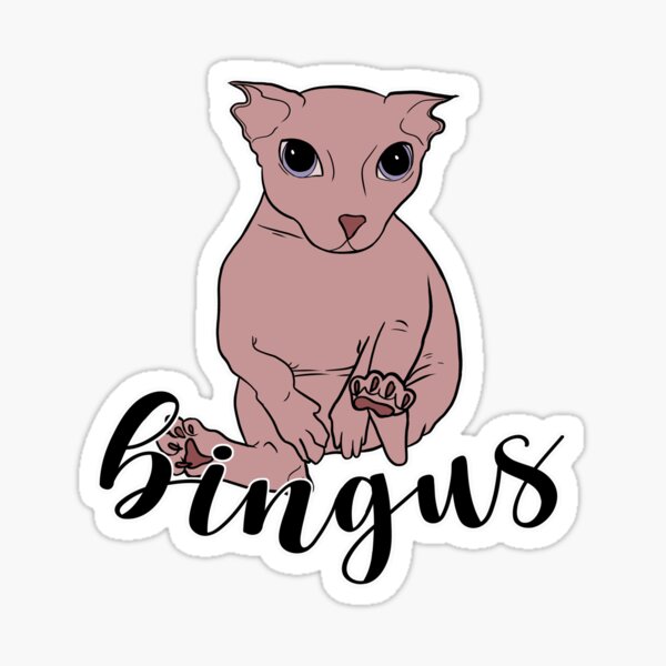 "Bingus (Cat Meme)" Sticker for Sale by forcas | Redbubble