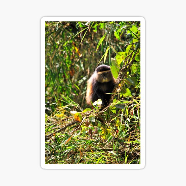 ""Who is he?"" Sticker by AndreasKoerner | Redbubble