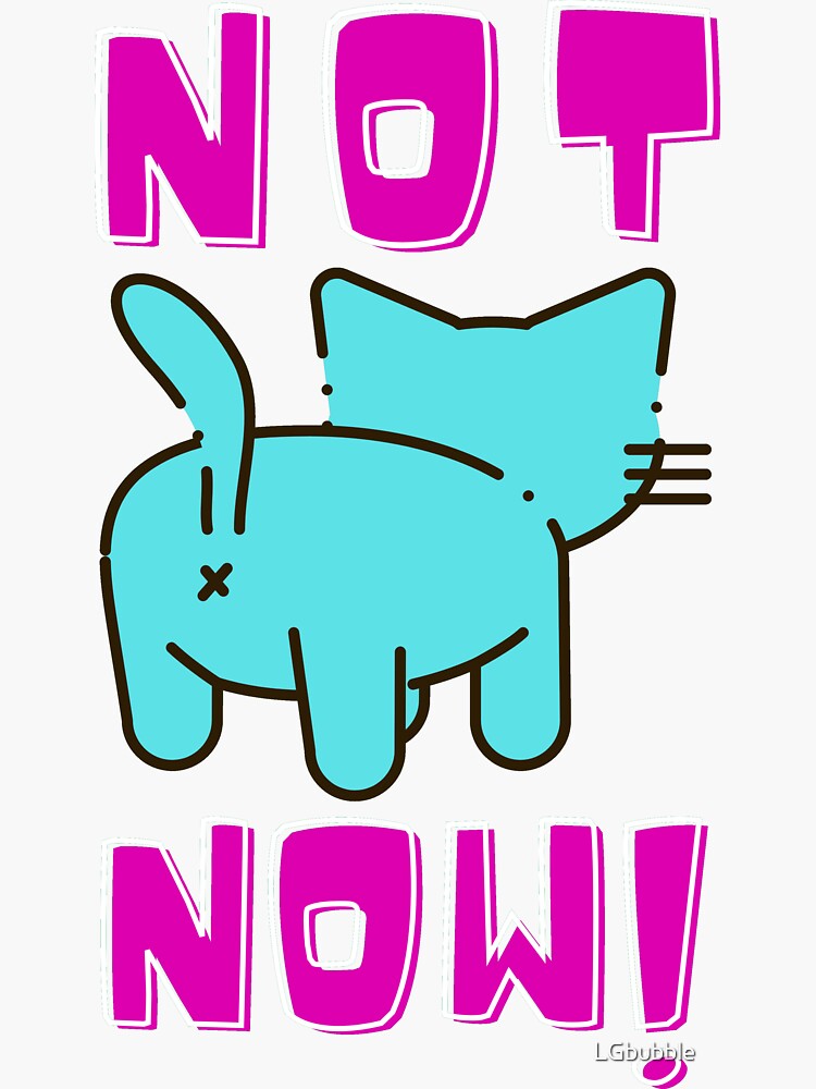 "Not Now! Do Not Bother Me! Sassy Bad Cat Cute Kitty Blue/ Pink Design ...