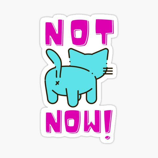 "Not Now! Do Not Bother Me! Sassy Bad Cat Cute Kitty Blue/ Pink Design ...