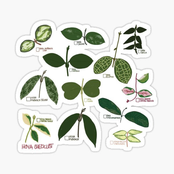 "Hoya Checklist" Sticker by Muk1 | Redbubble