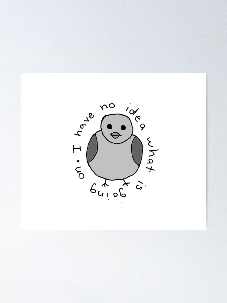 "Confused Bird" Poster for Sale by HhoneyBones | Redbubble