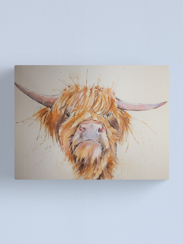 "Cheeky Highlander!" Canvas Print by Sue-Green | Redbubble